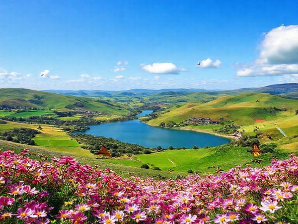 What is the best time to visit Waikato Region? - Kamëz